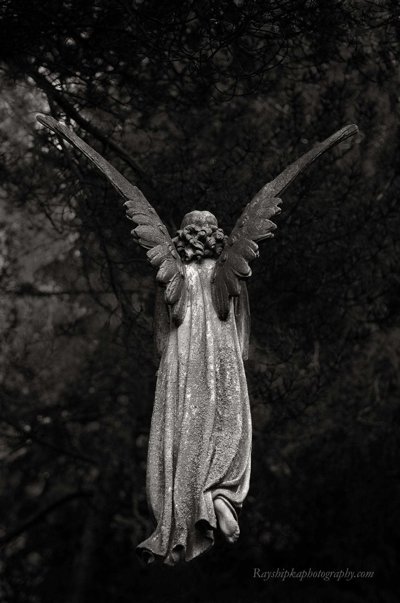 Ray Shipka photography | Into the light