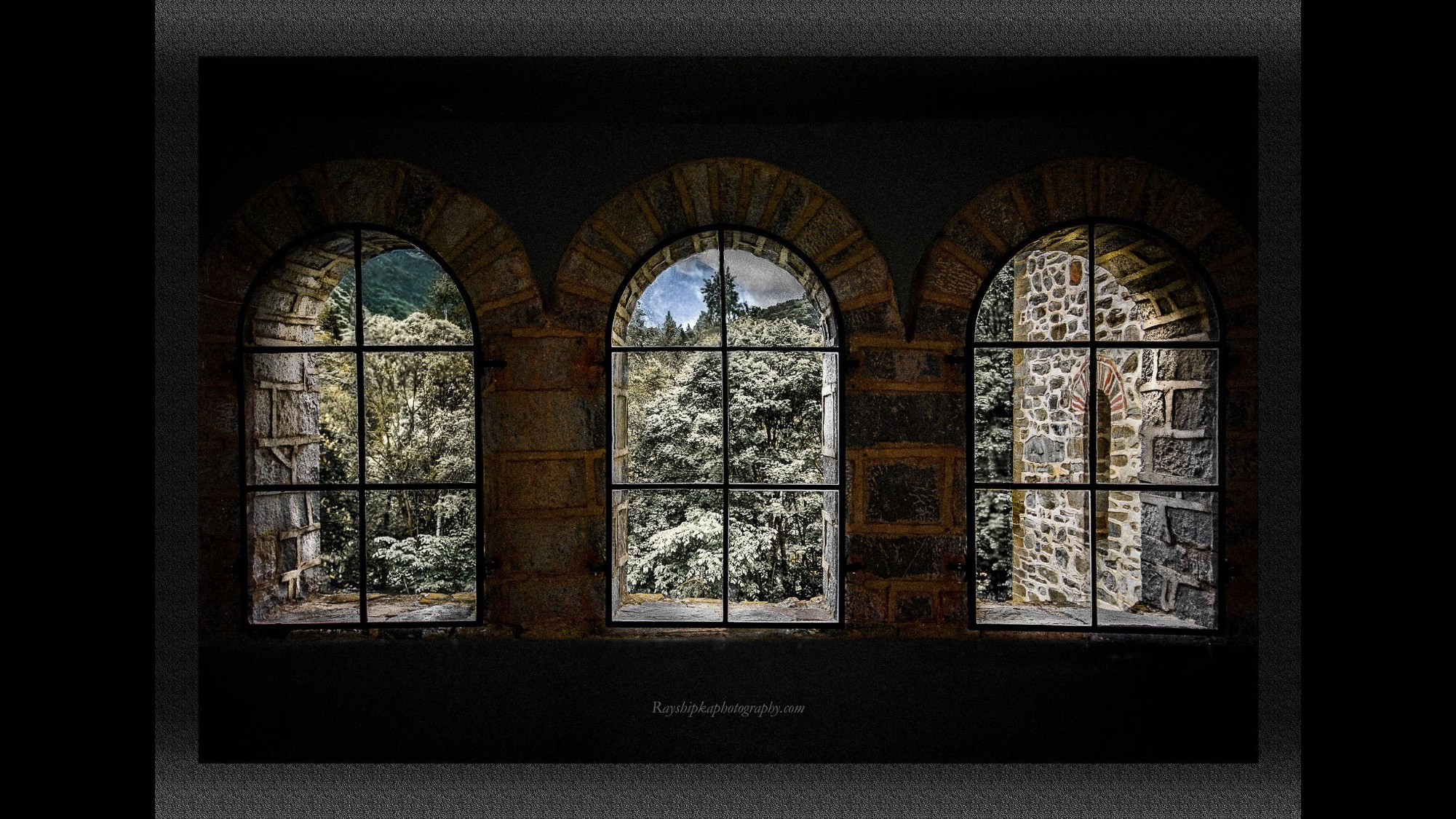 A Point of View. | Ray Shipka photography